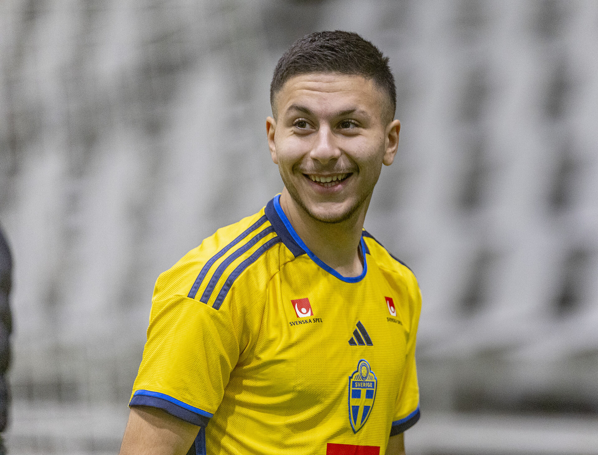 Roony Bardghji er uenig med det svenske landstræner